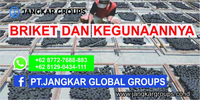 Apa itu briket dan kegunaannya